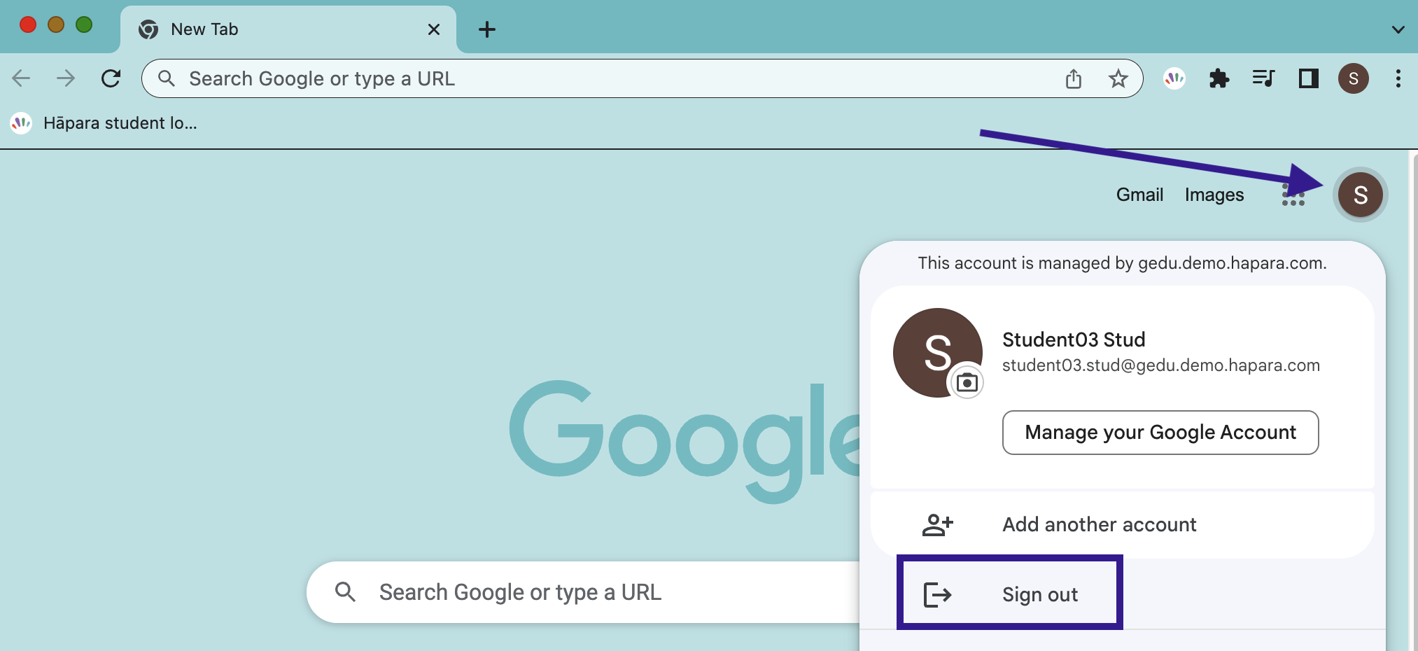 Signing into Chrome vs signing into your Google account – Hapara Support