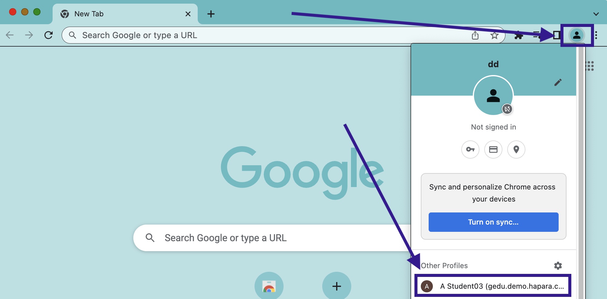 Signing into Chrome vs signing into your Google account – Hapara Support